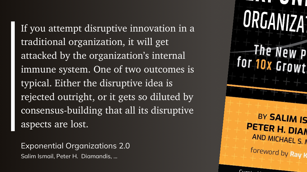 SCALE and IDEAS - The Frameworks of the Exponential Organization